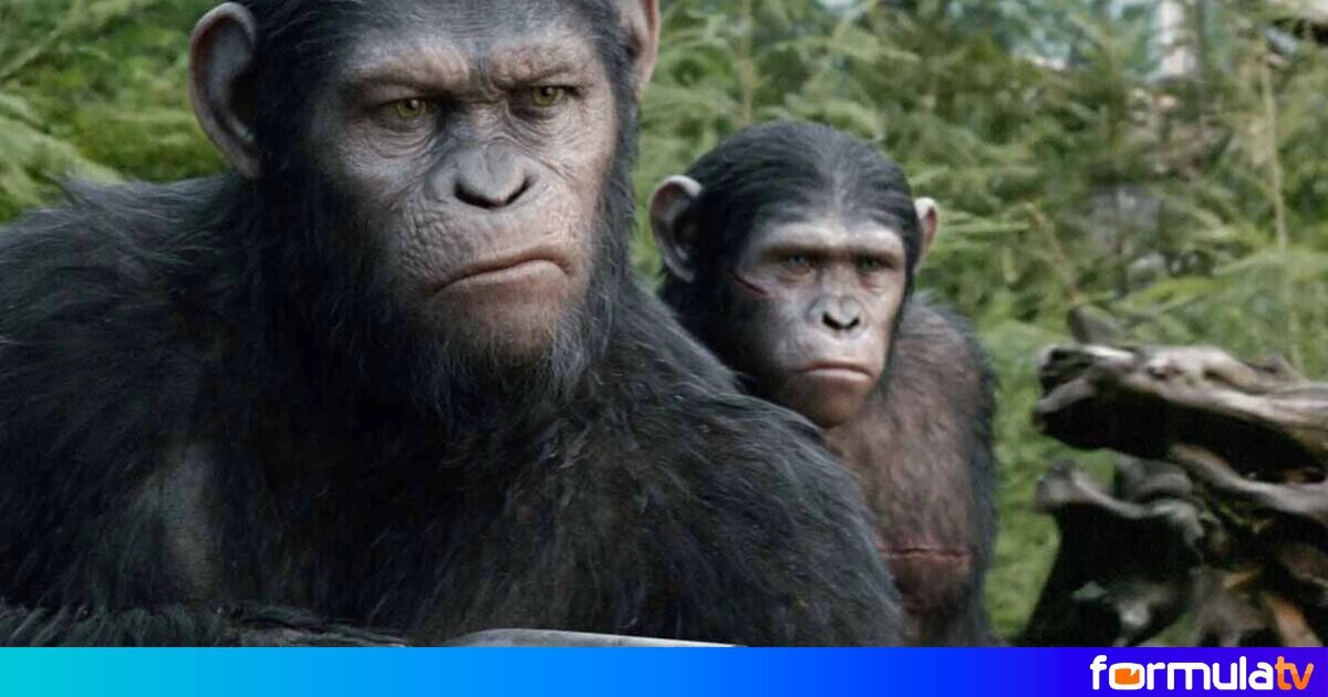 'La guerra del planeta de los simios' (3,8%) lidera una jornada con ...