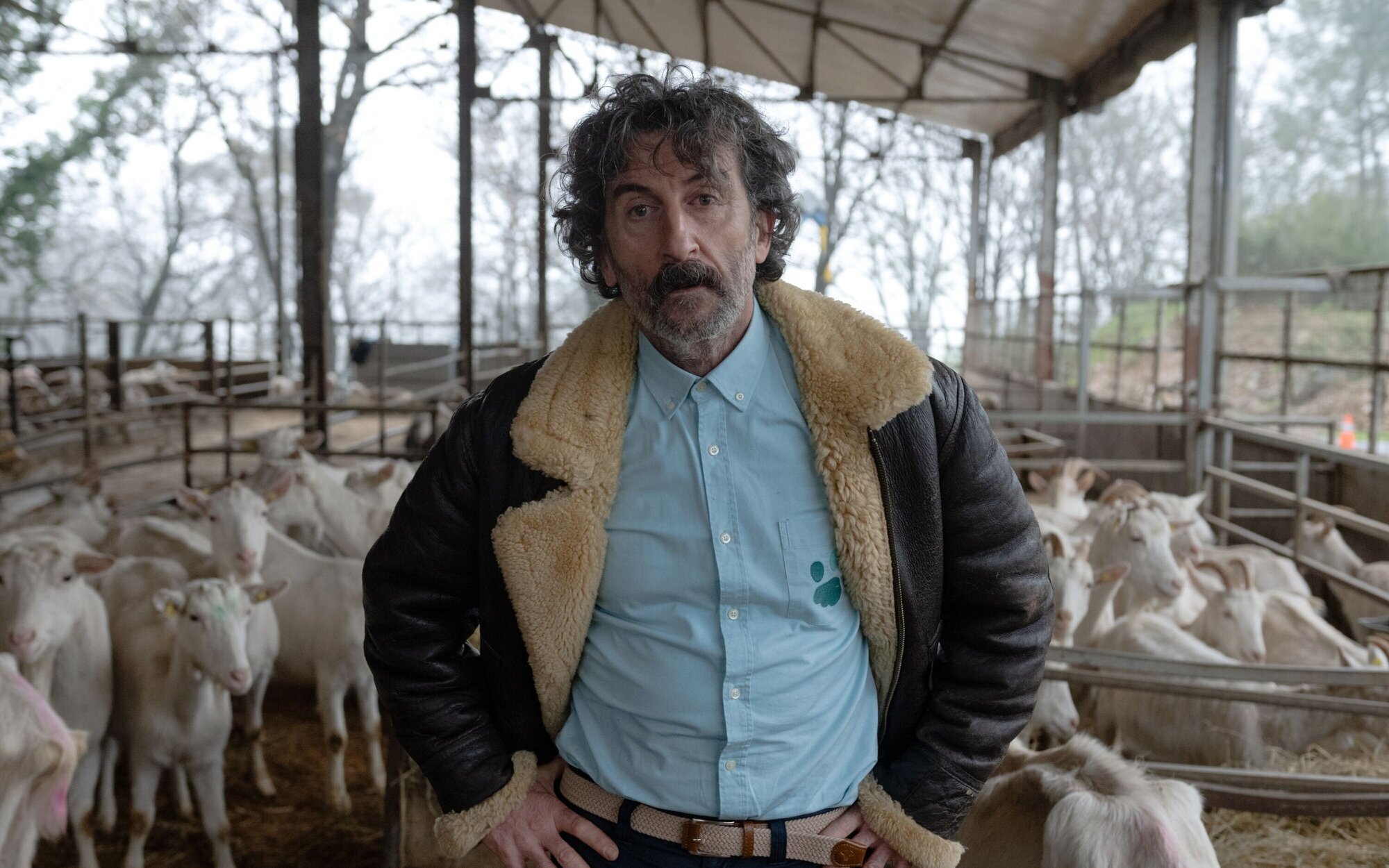 Luis Zahera cambia de mundo 'Animal' en la nueva serie de comedia que Netflix estrena el 3 de ...