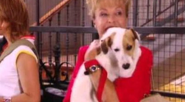 Así era Cook, el inolvidable Valentín de 'Aquí no hay quien viva ...