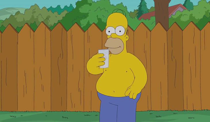 Homer Simpson, el último en cumplir el reto del cubo de agua helada ...
